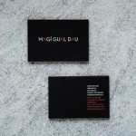 Magí Gual Dau - Card Nerd